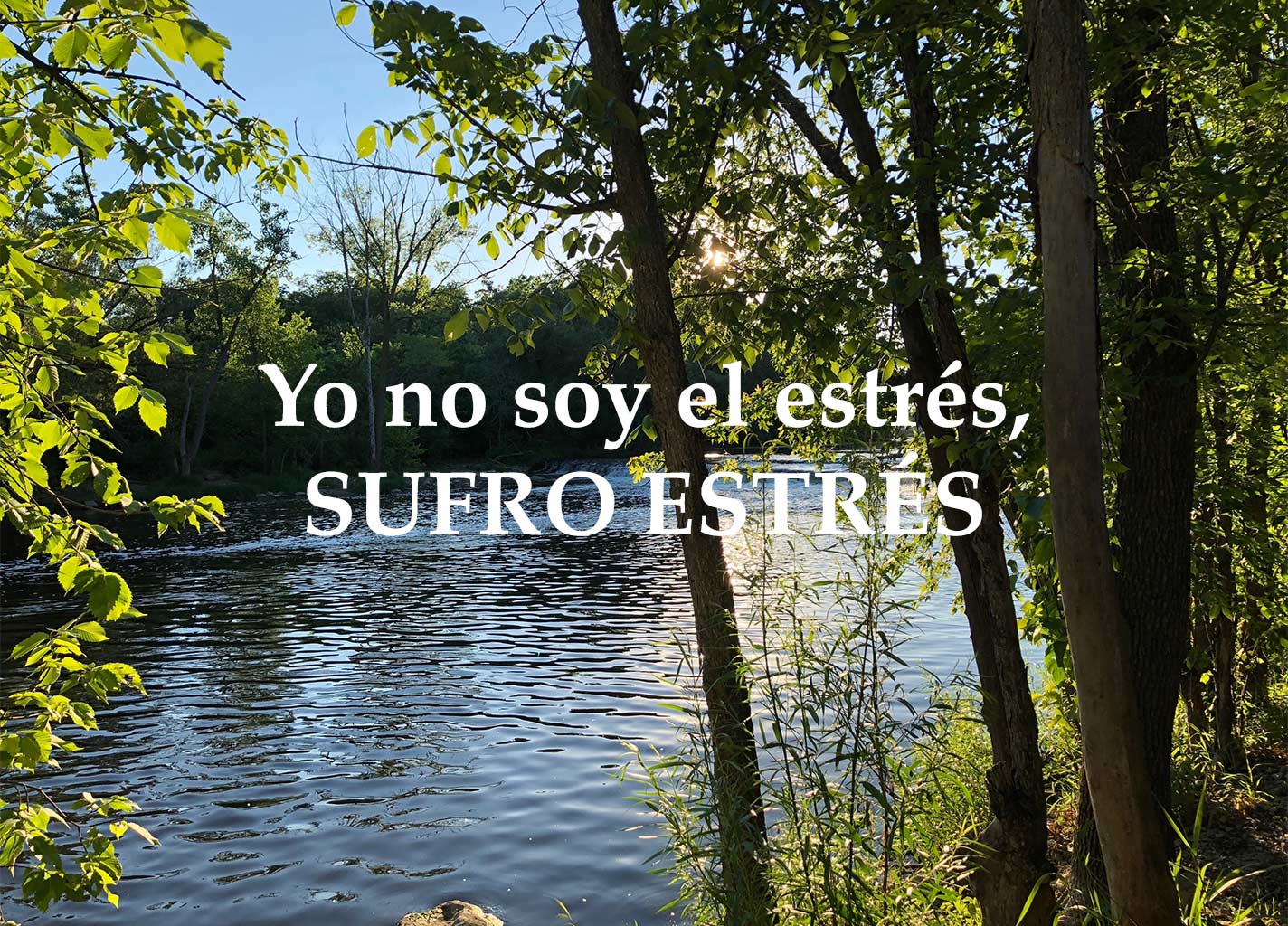 Yo no soy el estrés, sufro estrés - Transforma el estrés a positivo by ...